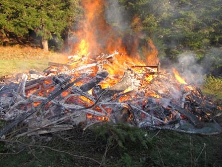 VFD Governance and History | North Sonoma Coast Volunteer Firefighter ...